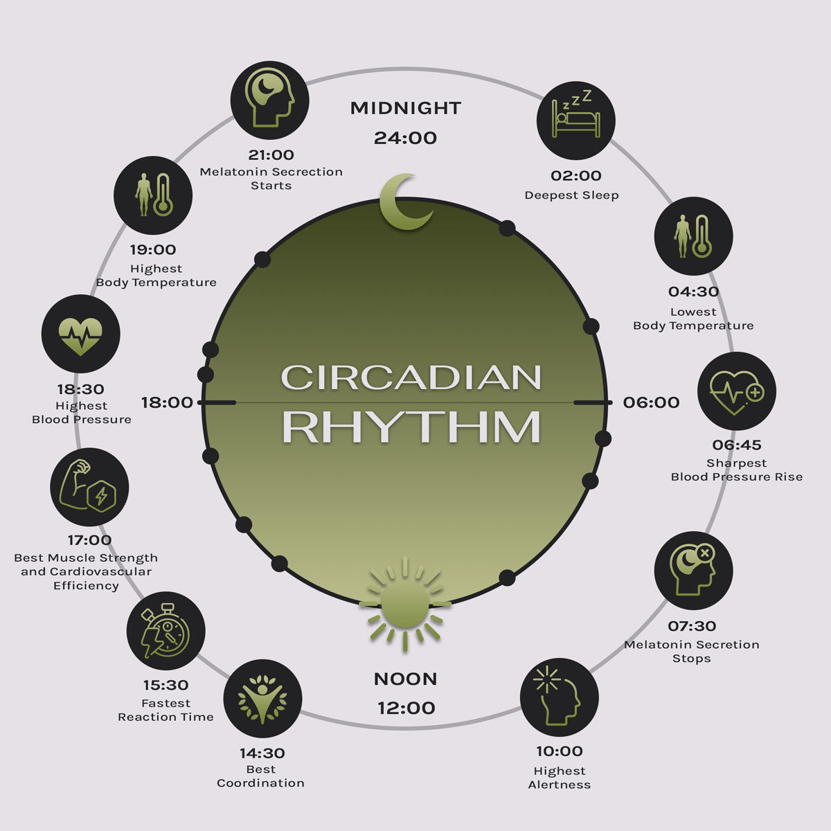 What Is Circadian Rhythm? – Balterra